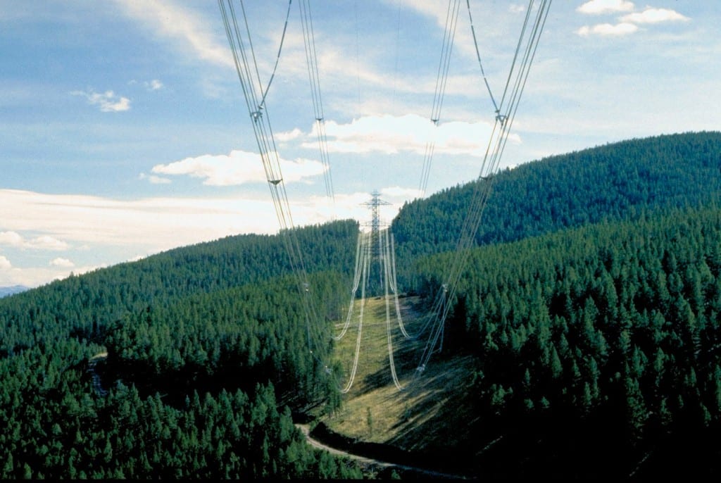 New Rules for Transmission Lines Drive Enhanced Vegetation Management ...