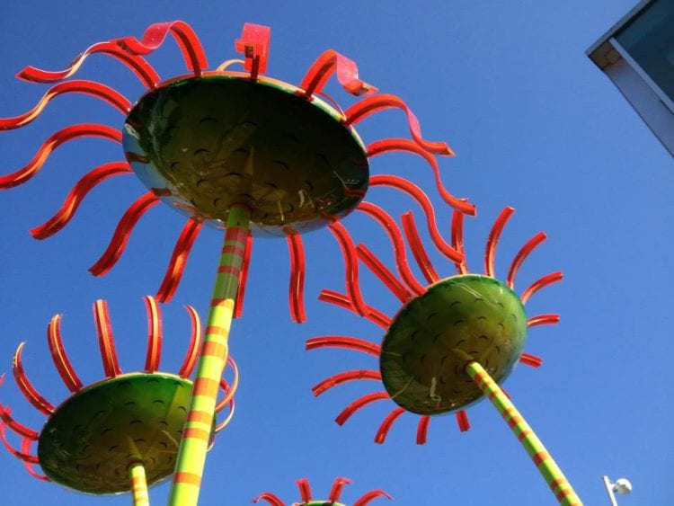 We Power: 10 Seattle Summer Attractions - Powerlines