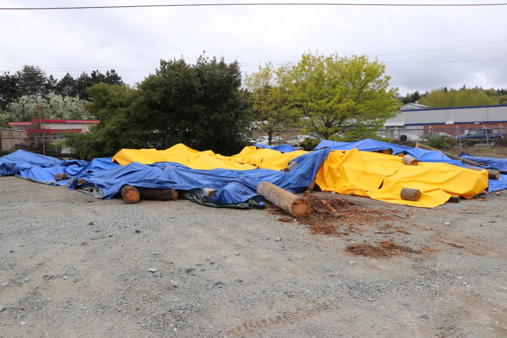 Update on East Marginal Way South power pole incident - Powerlines