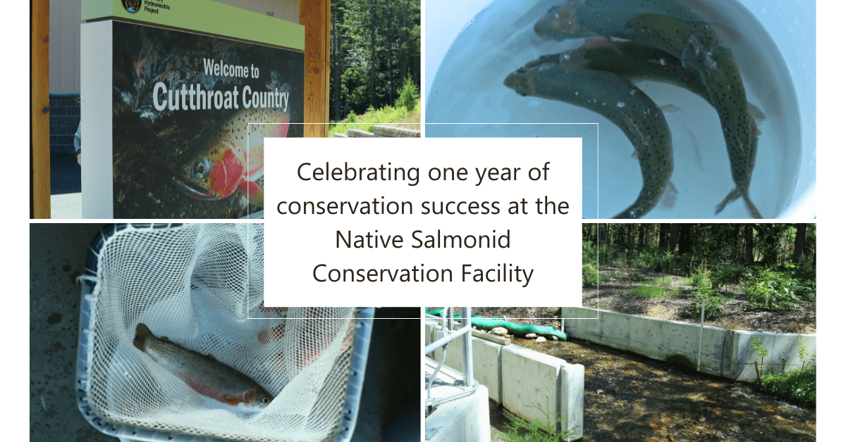 Celebrating one year of conservation success at the Native Salmonid ...